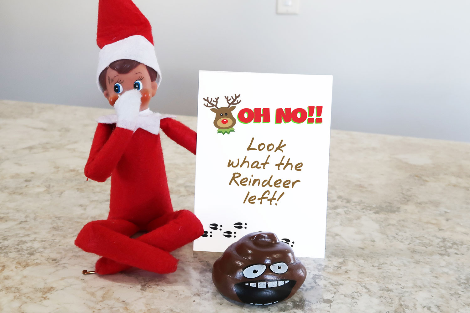 55 New Elf On The Shelf Ideas 6 Reindeer Poo 55-new-elf-on-the-shelf-ideas-6-reindeer-poo
